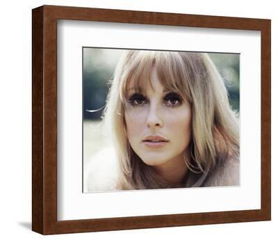 'Sharon Tate' Photo | AllPosters.com