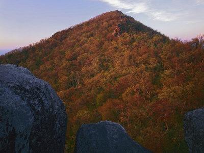 'Sharp Top Mountain, Blue Ridge Parkway, Virginia, USA' Photographic ...
