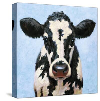 'Holstein II' Stretched Canvas Print - Shawn Faust | AllPosters.com