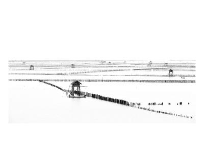 'Shellfish Farm' Premium Giclee Print | AllPosters.com