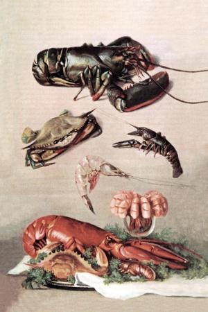 'Shellfish' Posters | AllPosters.com