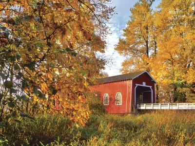 'Shimanek Covered Bridge in Morning Light in Lane County, Oregon, USA ...