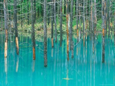 'Shirogane Hot Springs, Blue Marsh, Hokkaido, Japan' Photographic Print ...