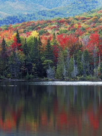 'Shoreline of Heart Lake, Adirondack Park and Preserve, New York, USA ...