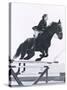 Show Jumping Photo | AllPosters.com