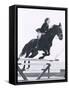 Show Jumping Photo | AllPosters.com