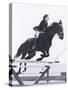 Show Jumping Photo | AllPosters.com