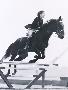 Show Jumping Photo | AllPosters.com