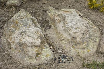'Shrine of the Stone Lions, a Prehistoric Native American Sculpture of ...
