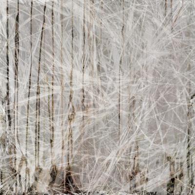 'Neutral Drift II' Art - Sia Aryai | AllPosters.com