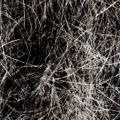 'Neutral Drift IV' Prints - Sia Aryai | AllPosters.com