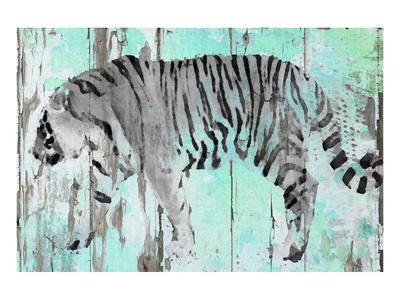 'Siberian Tiger' Poster | AllPosters.com