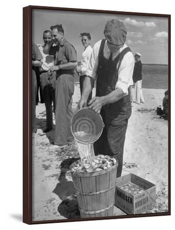 'Sights of a Typical Summer at Cape Cod: Watering Clams to Aid the ...