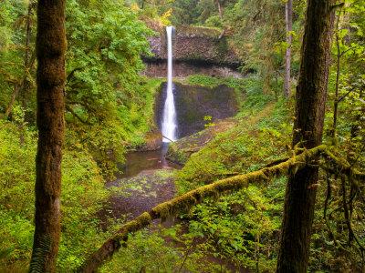 'Silver Falls State Park, Salem, Oregon' Photographic Print - Darrell ...