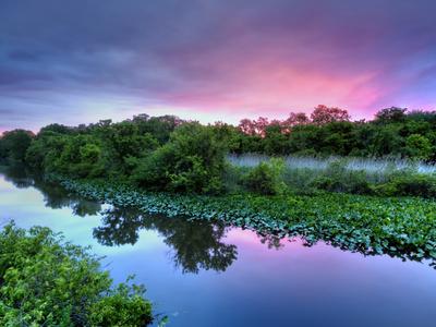 'Silver Lake Nature Center, Philadelphia, Pennsylvania, USA ...