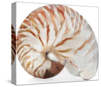 'Simple Shell - Mollusk' Stretched Canvas Print - Tania Bello ...