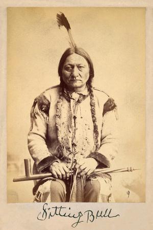 'Sitting Bull - Lakota Sioux Tribe Chief, 1884' Photographic Print ...