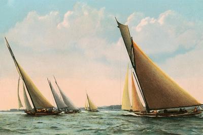 'Sloop Regatta' Prints | AllPosters.com