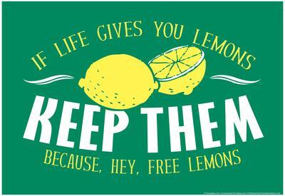 'Zelda' Posters - Snorg Tees | AllPosters.com