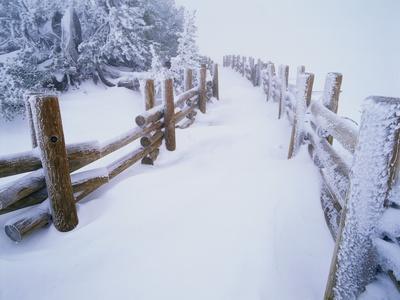 'Snow-covered Path in Crater Lake National Park' Photographic Print ...