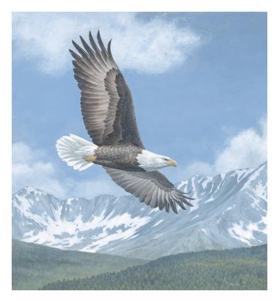'Soaring High' Giclee Print - Telander | AllPosters.com