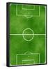'Soccer Field Sports Poster Print' Prints | AllPosters.com