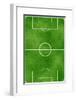 'Soccer Field Sports Poster Print' Prints | AllPosters.com