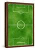 'Soccer Field Sports Poster Print' Prints | AllPosters.com