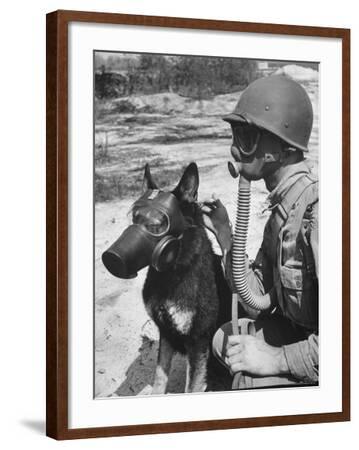 'Soldier and German Shepard Wearing Gas Masks for Chemical Warfare ...