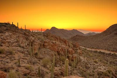 'Sonoran Desert Just before Dawn, Hdr Image' Photographic Print ...