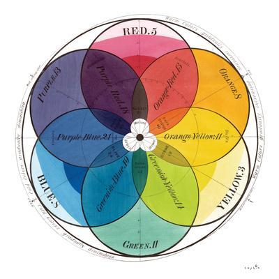Color Scale - Sophie 6 | AllPosters.com