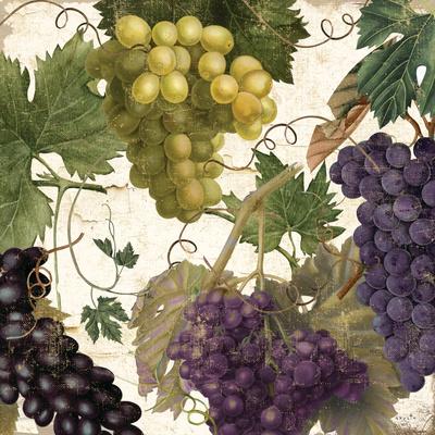 'Marcella II' Posters - Sophie 6 | AllPosters.com