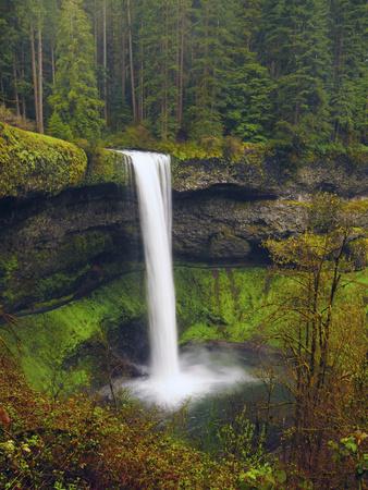'South Falls in Spring: Silver Falls State Park, Oregon, USA ...