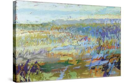 'Southward' Stretched Canvas Print - Jane Schmidt | AllPosters.com