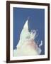 'Space Shuttle Challenger Disaster' Photo | AllPosters.com