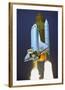 'Space Shuttle (Lift Off)' Photo | AllPosters.com