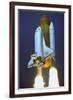 'Space Shuttle (Lift Off)' Photo | AllPosters.com