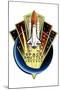 'Space Shuttle Program 30th Anniversary 1981-2011 Poster' Prints ...
