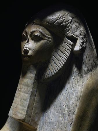 'Sphinx of Queen Hatshepsut, from Deir El-Bahari, Detail' Giclee Print ...