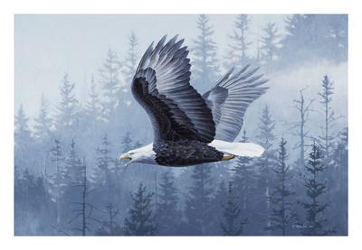 'Spirit of the Forest' Posters - Todd Telander | AllPosters.com