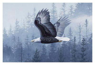 'Spirit of the Forest' Giclee Print - Todd Telander | AllPosters.com