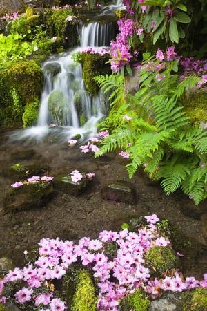 'Spring Flowers Add Beauty to Waterfall at Crystal Springs Garden ...