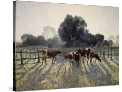'Spring Frost' Stretched Canvas Print - Elioth Gruner | AllPosters.com