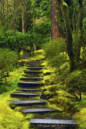 'Spring on the Steps, Portland Japanese Garden, Portland, Oregon, USA ...
