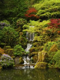 'Spring, Portland Japanese Garden, Portland, Oregon, USA' Photographic ...
