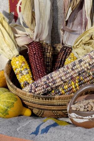 'Squash, Corn, and Beans: the Three Sisters of Native American ...