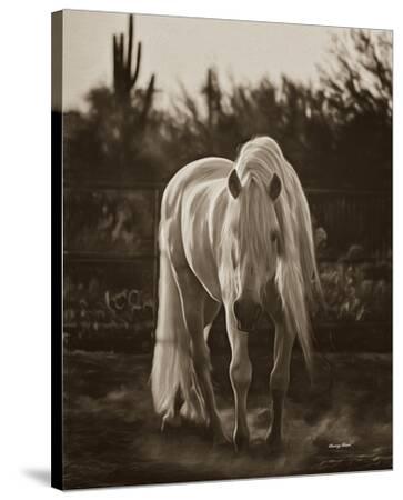 'Stallion in the Garden' Stretched Canvas Print - Barry Hart ...