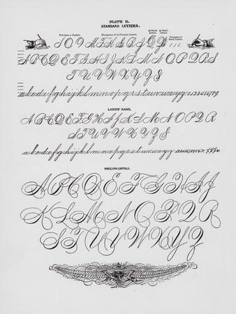 'Standard Letters; Ladies' Hand; Whole Arm Capitals (Engraving)' Giclee ...