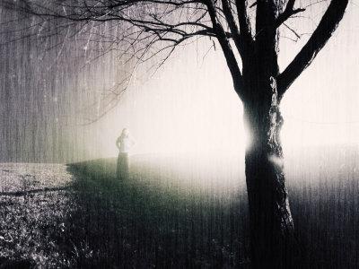 'Standing in the Rain under Tree' Photographic Print - Jan Lakey ...