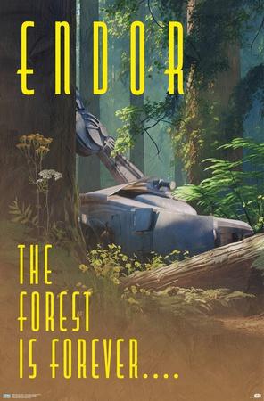 'Star Wars: Endor - Visit Endor by Russell Walks 23' Posters - Trends ...